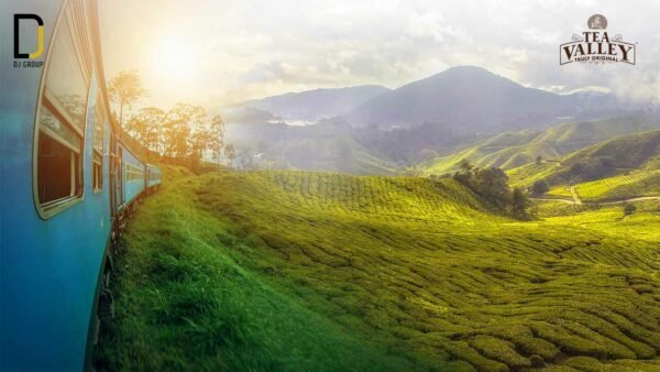 Tea Valley – Premium blend of Assam and Dooars tea – Tea Valley Tea